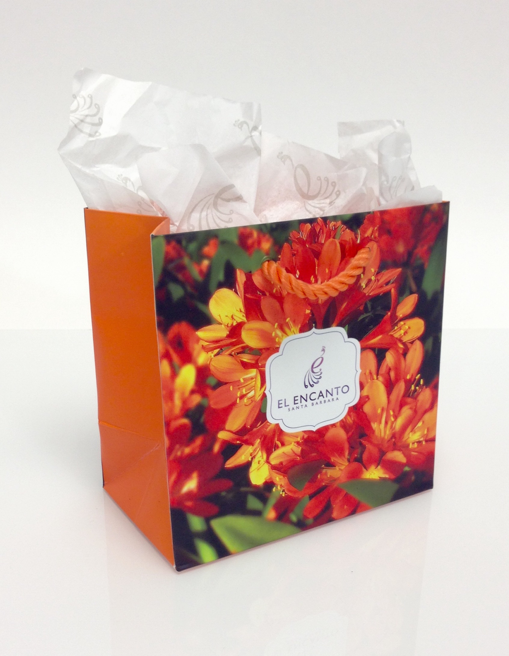 The Importance of Color Choice in Packaging | Morgan Chaney